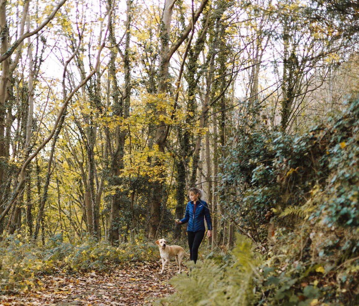 5 Actions You Can Take To Reduce Anxiety/Stress and Increase Overall ...